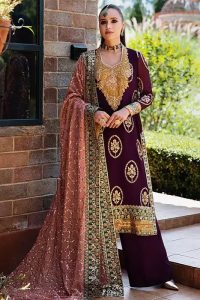 Top 31+ Pakistani Suit Designs for Every Occasion | Theethnicworld